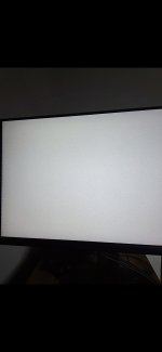 White static screen | MSI Global English Forum